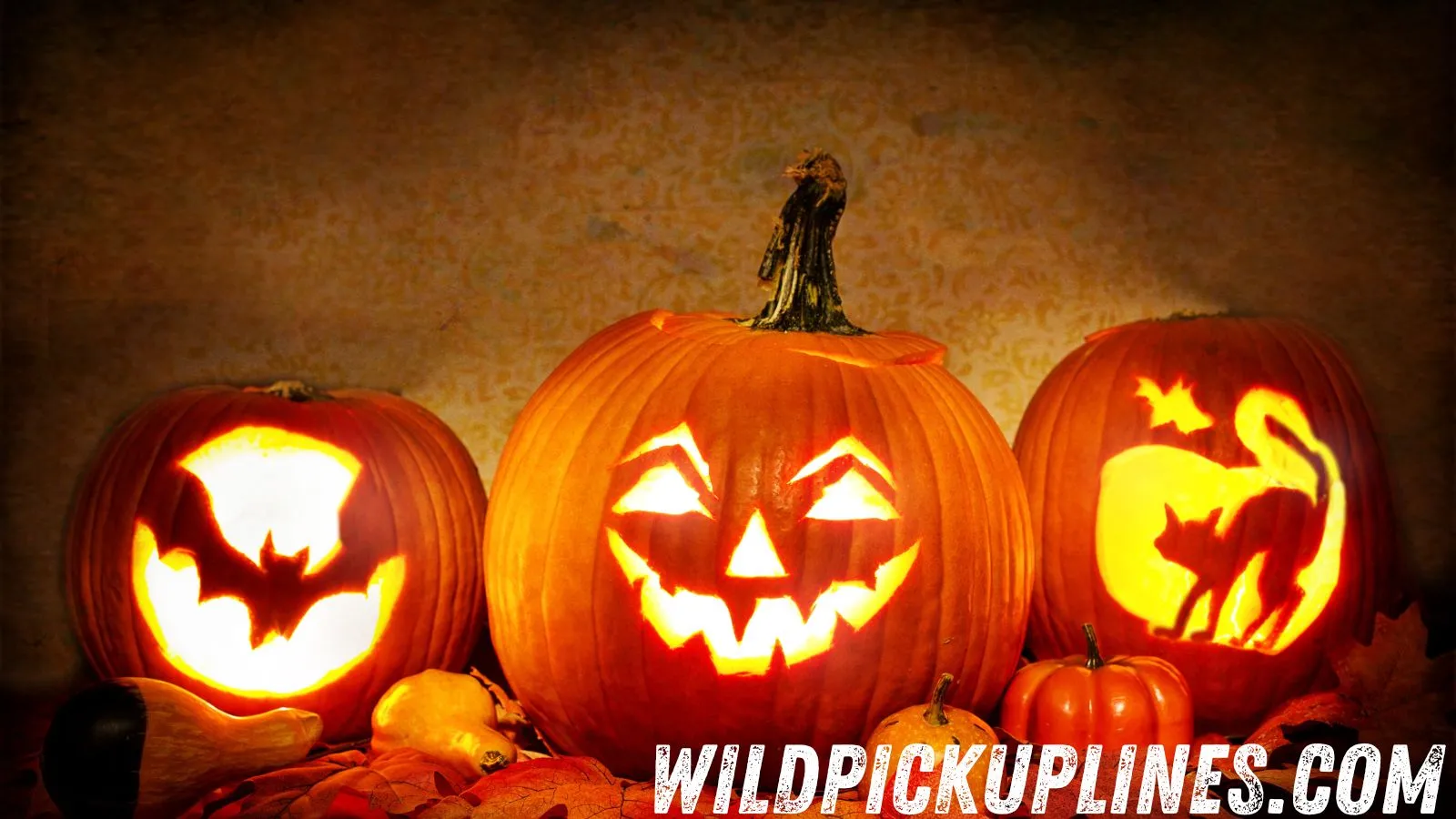 🎃91 Pumpkin Pick Up Lines The Cutest Snack In The Patch
